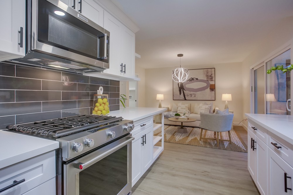 1494 Flair Encinitas Dr, Encinitas, CA 92024 – CT Homes LLC
